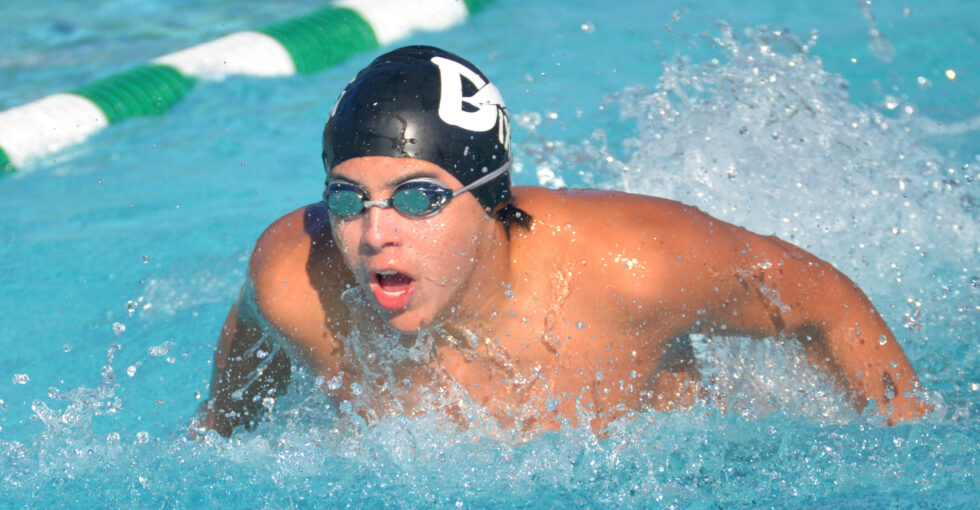 Spring sports update | Dixon High School